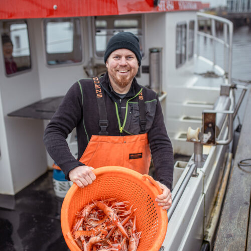 Erbjudanden, upplevelser, paket & vistelser - Gullmarsstrand
