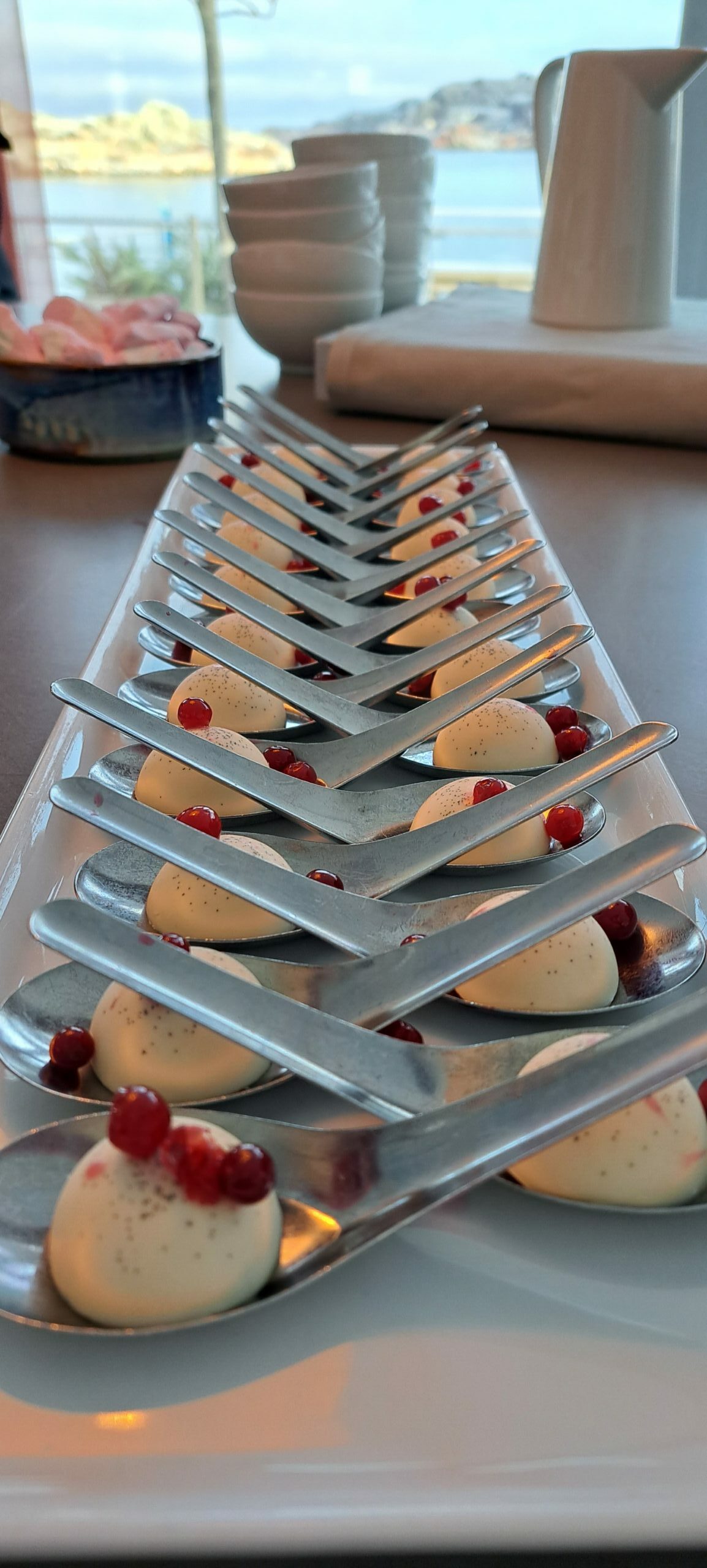 Afternoon tea dagsutflykt till västkusten - Gullmarsstrand